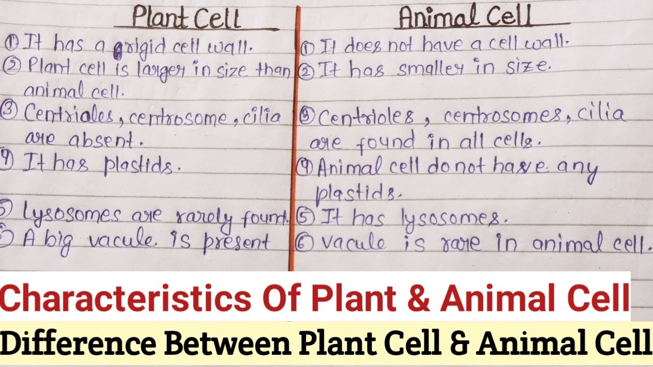Plant Cell Vs Animal Cell |Difference Between Plant Cell And Animal ...