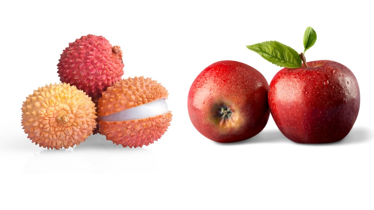 How to Draw Easy Litchi and Apple Drawing step by step ...