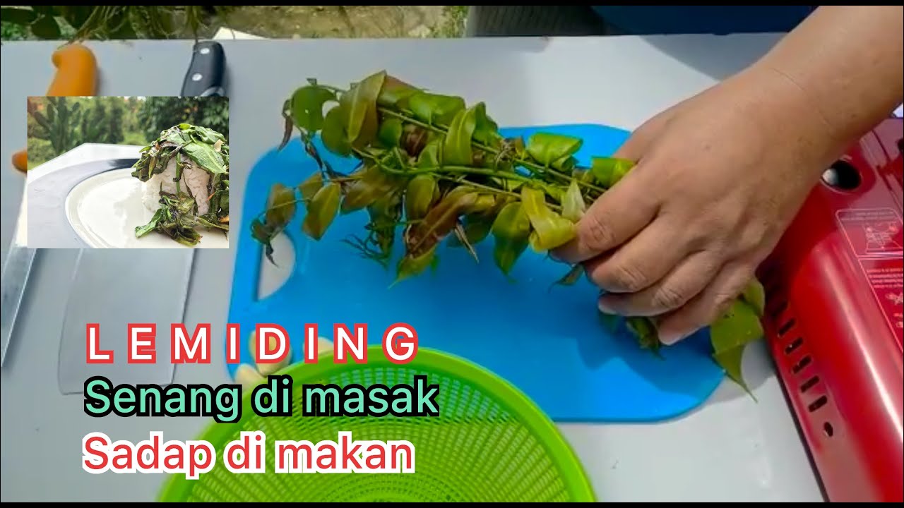 Sayur Lemiding | No.1 paling sanang masak - YouTube