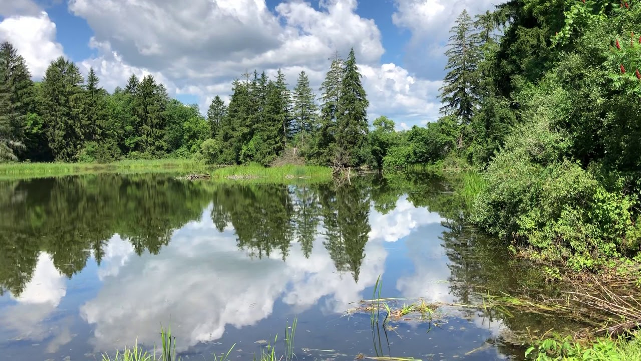 Adams Farm Trail at Rogers Center - YouTube