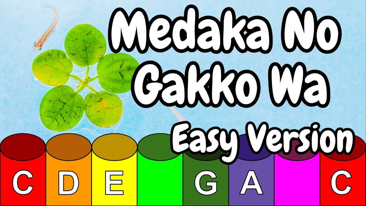 Medaka No Gakkō Wa (Easy Version) [Japanese Folk Song] - Boomwhacker ...