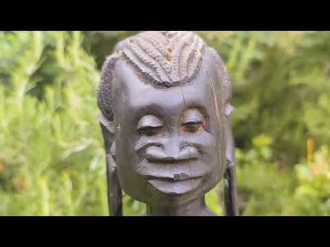Walking The Tight Rope : Errol O. Johnson