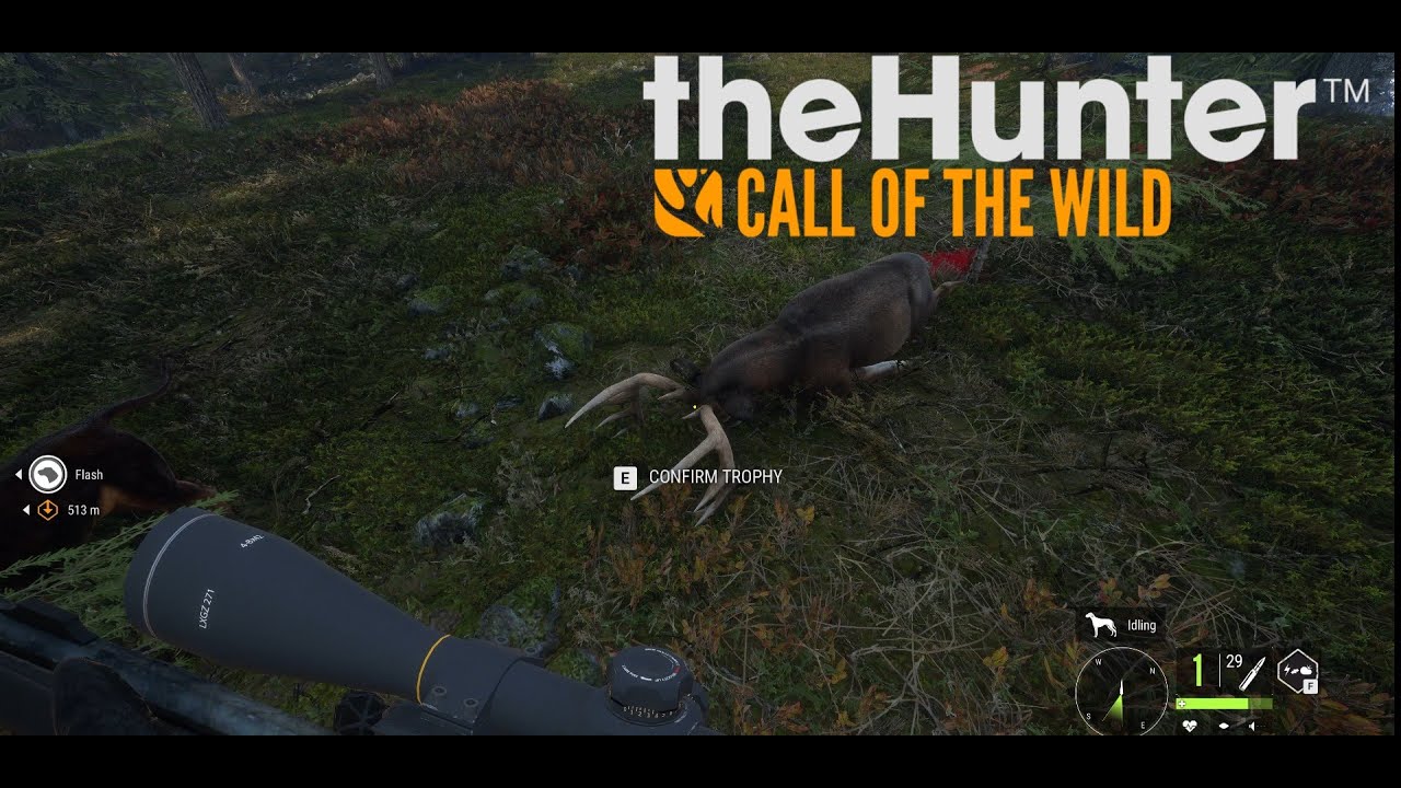 THE HUNTER CALL OF THE WILD 4K PC LIVE|COME HANG OUT| - YouTube