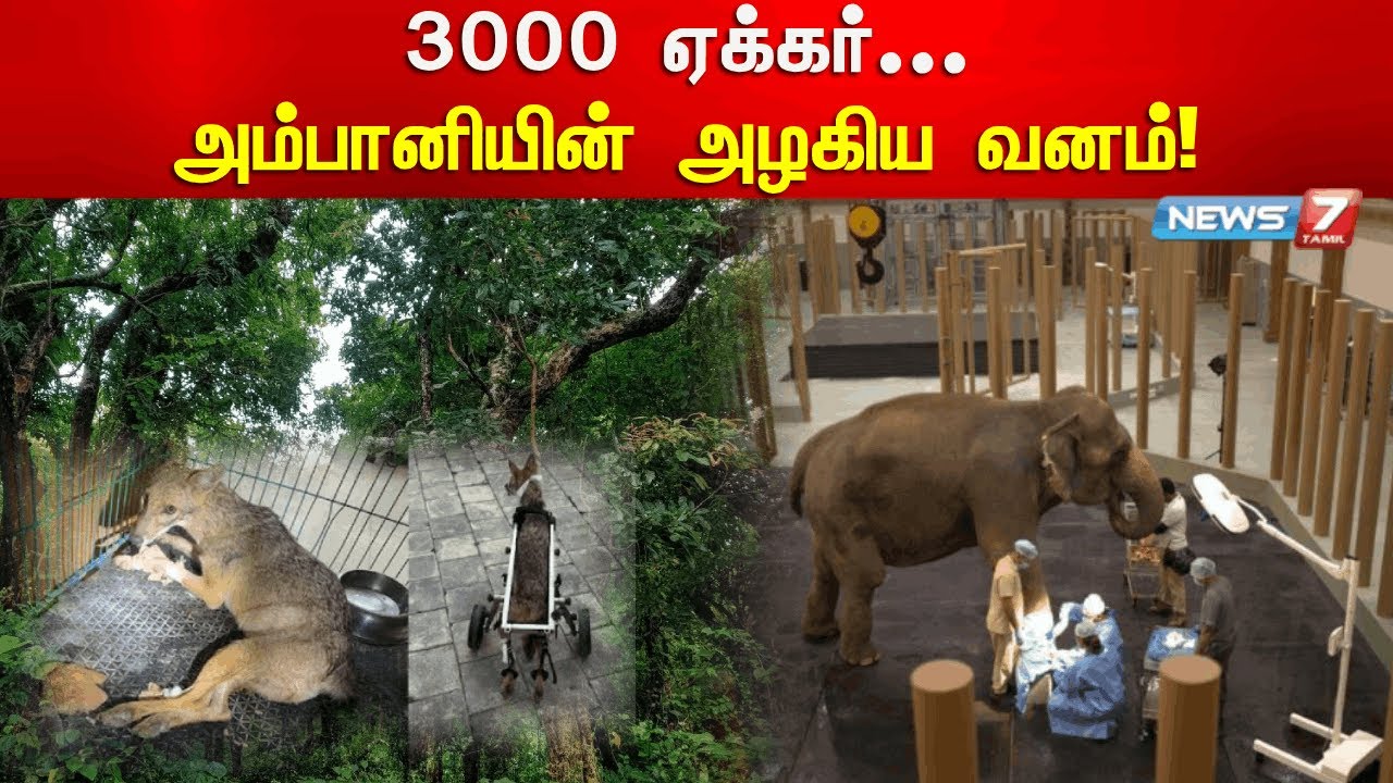 3000 ஏக்கர்...அம்பானியின் அழகிய வனம்! | Ambani | Forest | Animal Care ...