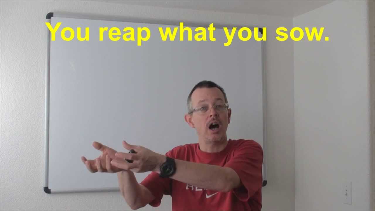 Learn English: Daily Easy English Expression 0398: You reap what you ...