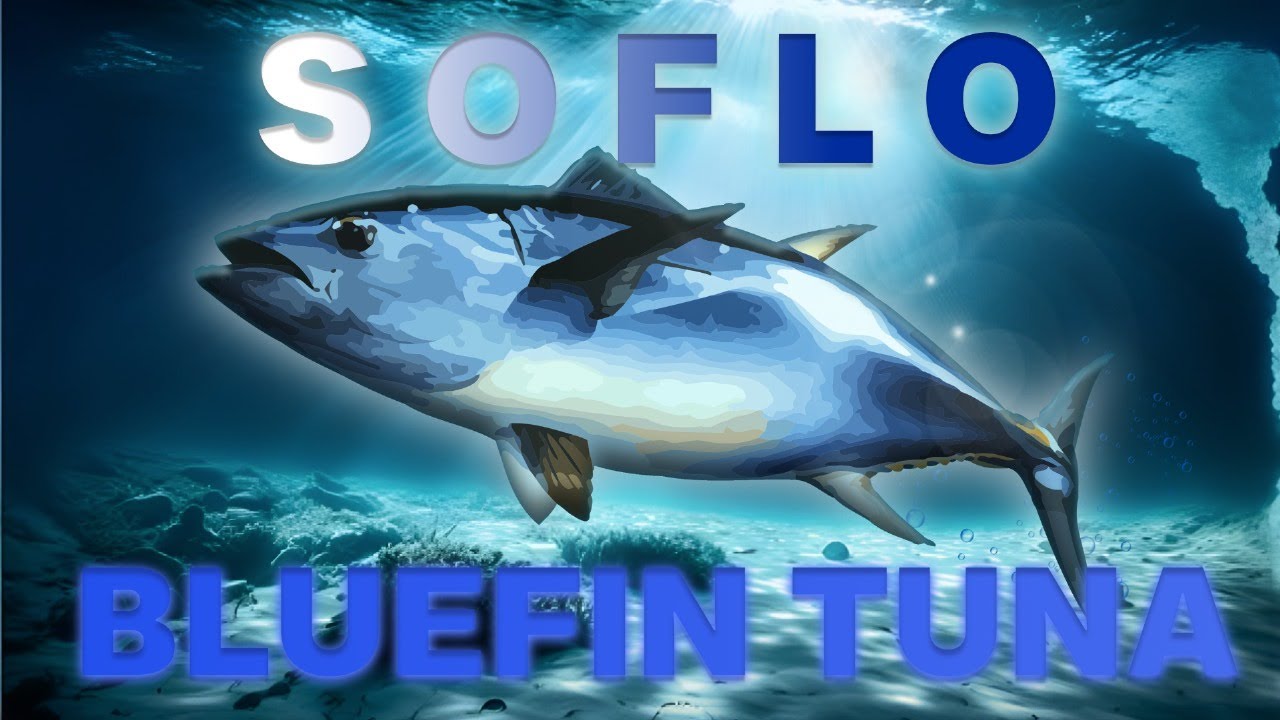 EP. 5 - SoFlo Bluefin Tuna ft. Capt. Mutton Mike - YouTube