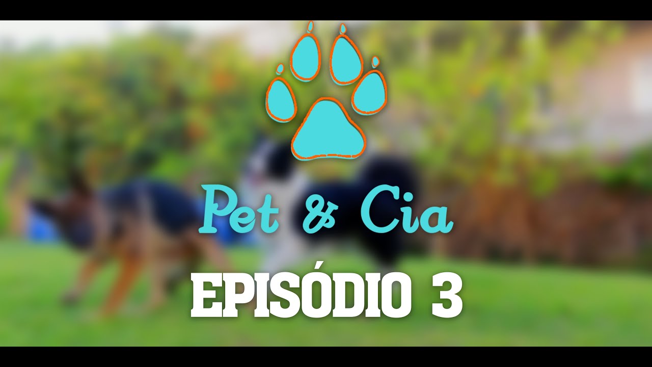 Pets & Cia entrevista Dr. Luciano - YouTube