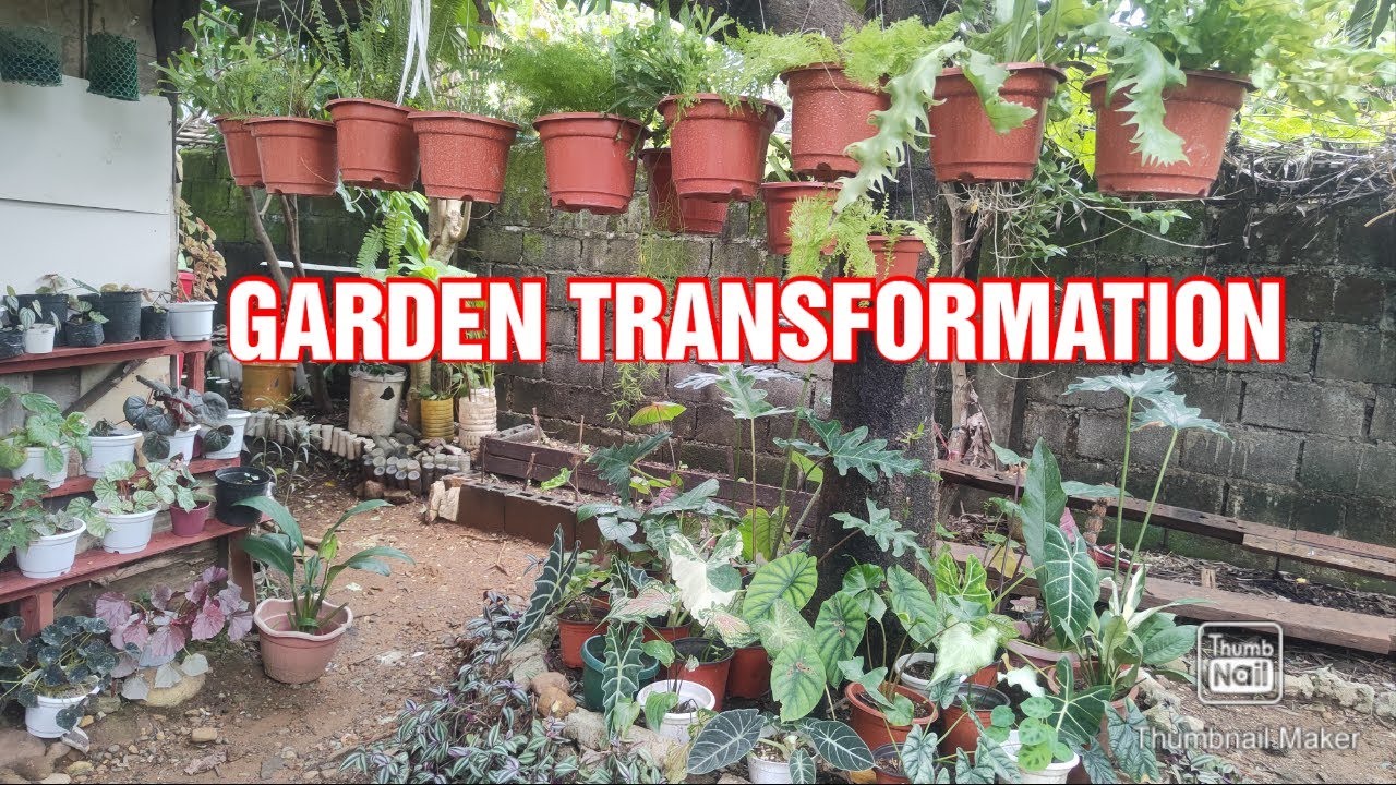 GARDEN TRANSFORMATION : YOU'LL BE AMAZED - YouTube