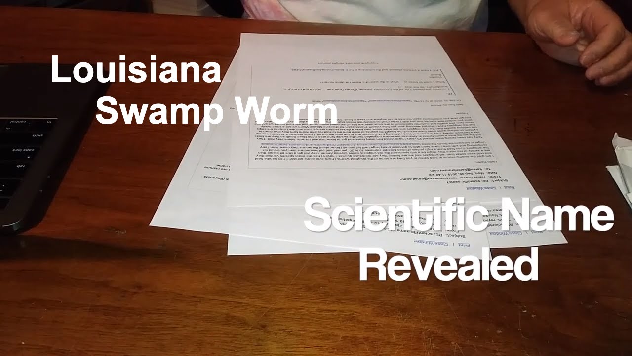 Louisiana Swamp Worms- Scientific Name Revealed! - vermicompost compost ...
