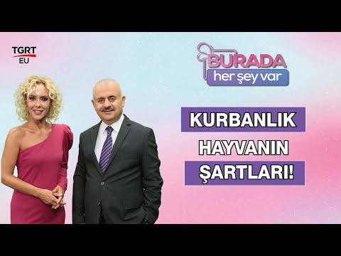 Bir Hayvanı Kurban Edebilmenin Şartları Nelerdir? - Burada Her Şey Var