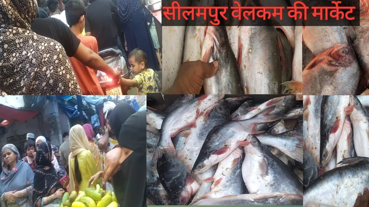 सीलमपुर वेलकम की मार्केट फिश रेट || silampur welcome ki market fish ...