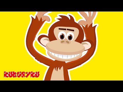 ŚPIEWAJĄCE BRZDĄCE - FIK MIK MAŁPKA MAŁA 🤣🤣🤣