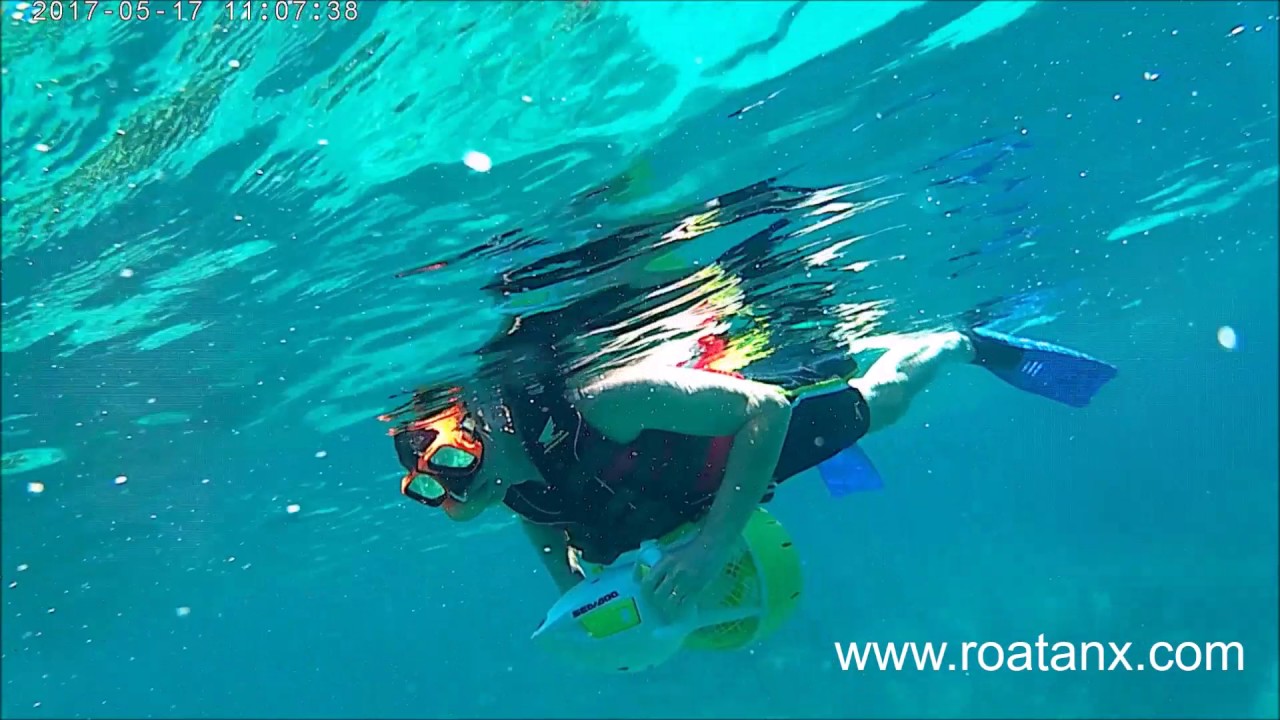 Roatan Power Snorkeling Tour May 17 2017 - YouTube