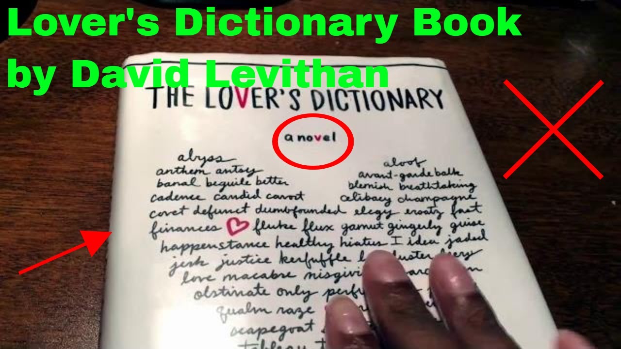 The Lover's Dictionary Book by David Levithan Review - YouTube