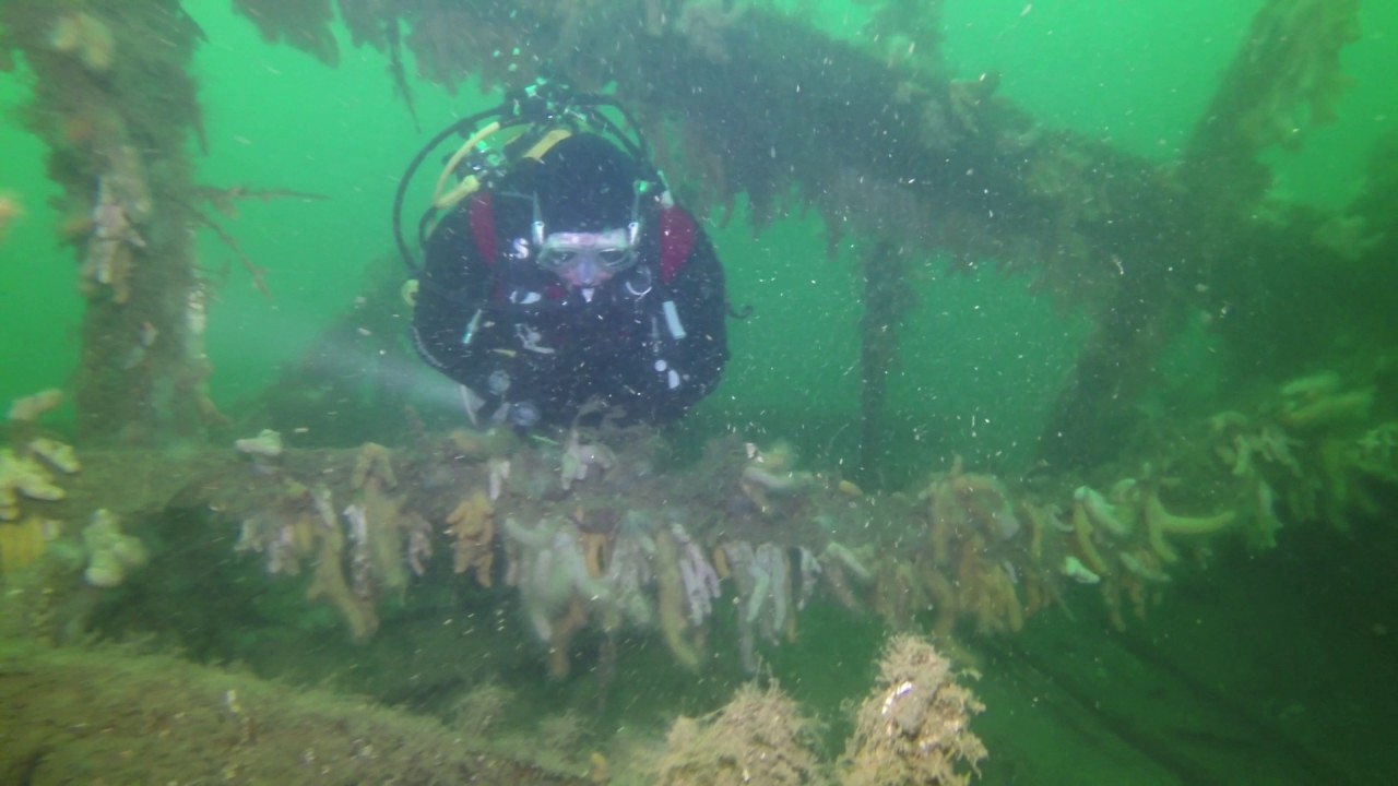 A Dive on the SS Breda July 2017 - YouTube