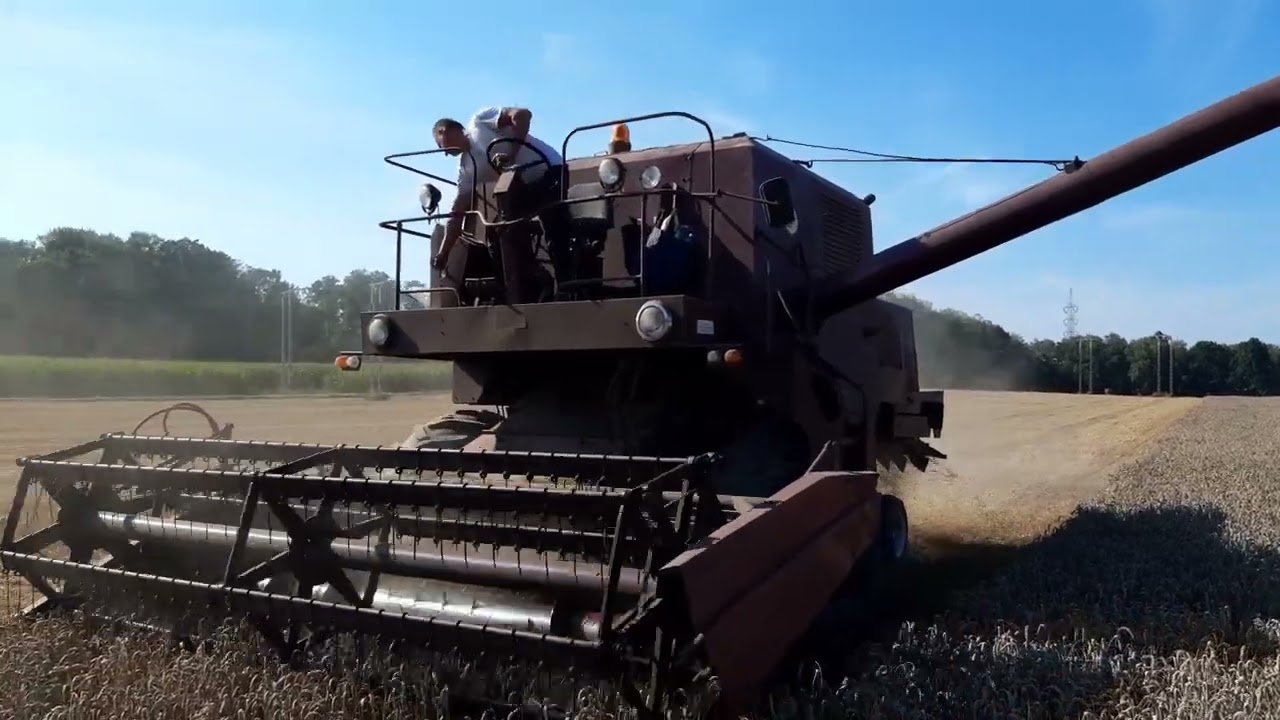 Bordowy Bizon Z056 kończy żniwa 2022🌾🌾 - YouTube
