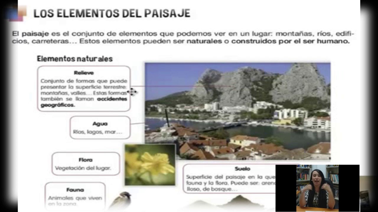 ELEMENTOS DEL PAISAJE GEOGRÁFICO - YouTube