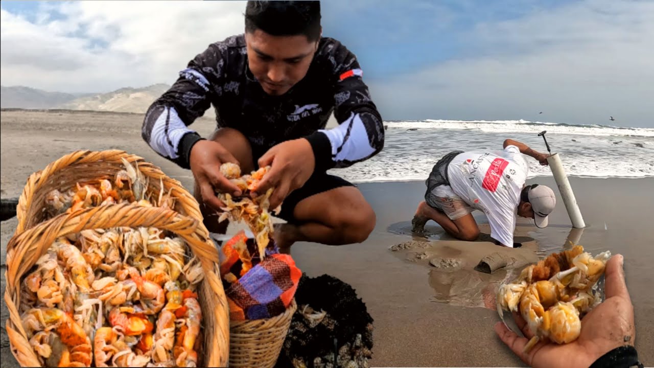 Mira! Como Sacar Napes o Maruchas, la CARNADA mas IRRESISTIBLE para ...