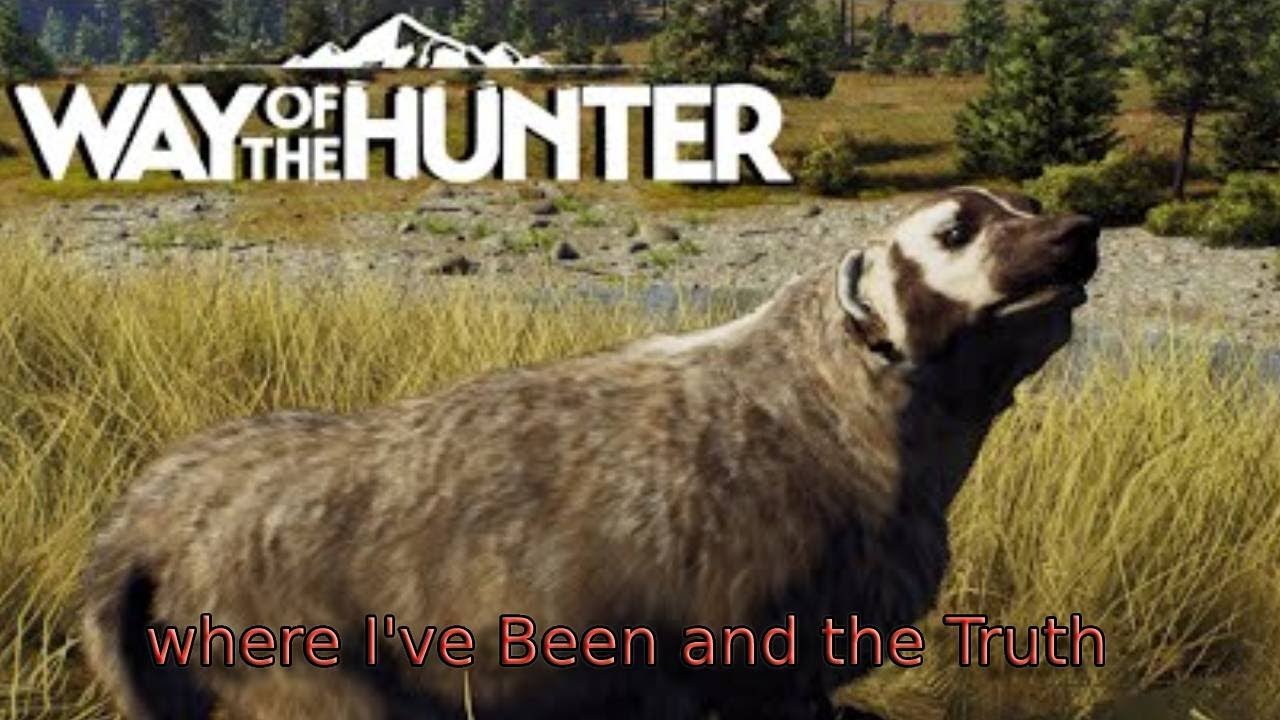 where i've been and the truth - YouTube