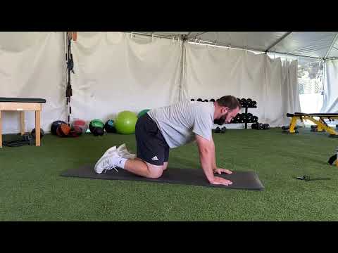 Cat/Cow Mobility - YouTube