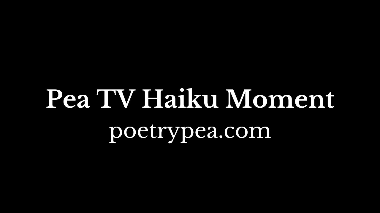 Pea TV Haiku Moments: Splinters in the sea - YouTube