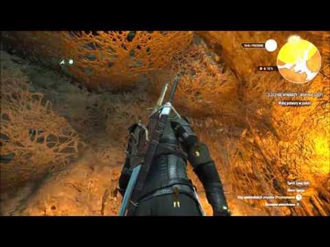 [PL] Wiedźmin 3: Dziki Gon - Krew i Wino - Zlecenie Winiarzy w Touissant [BUG]