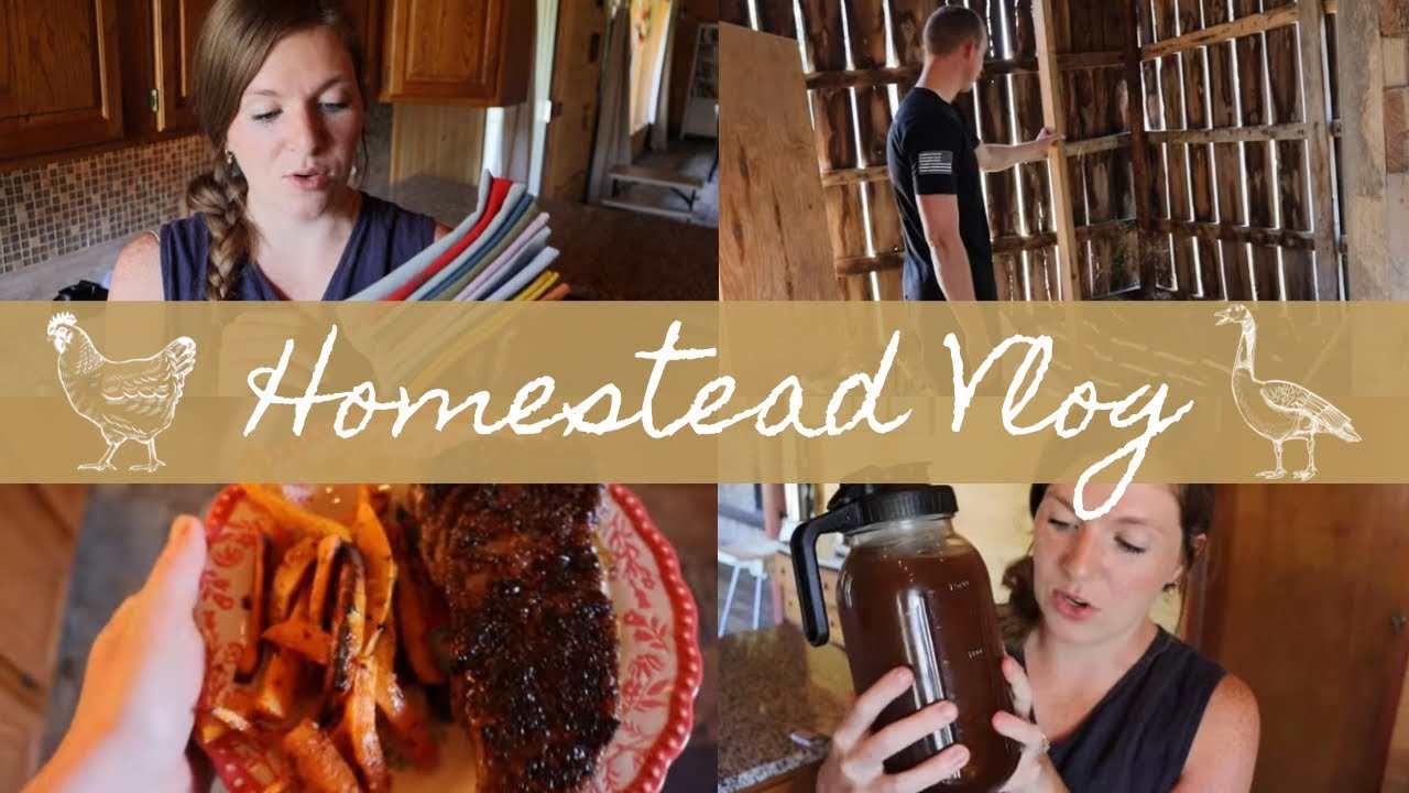 Homestead Vlog | Building a Chicken Coop | Cold Brew | Cloth Diapering ...