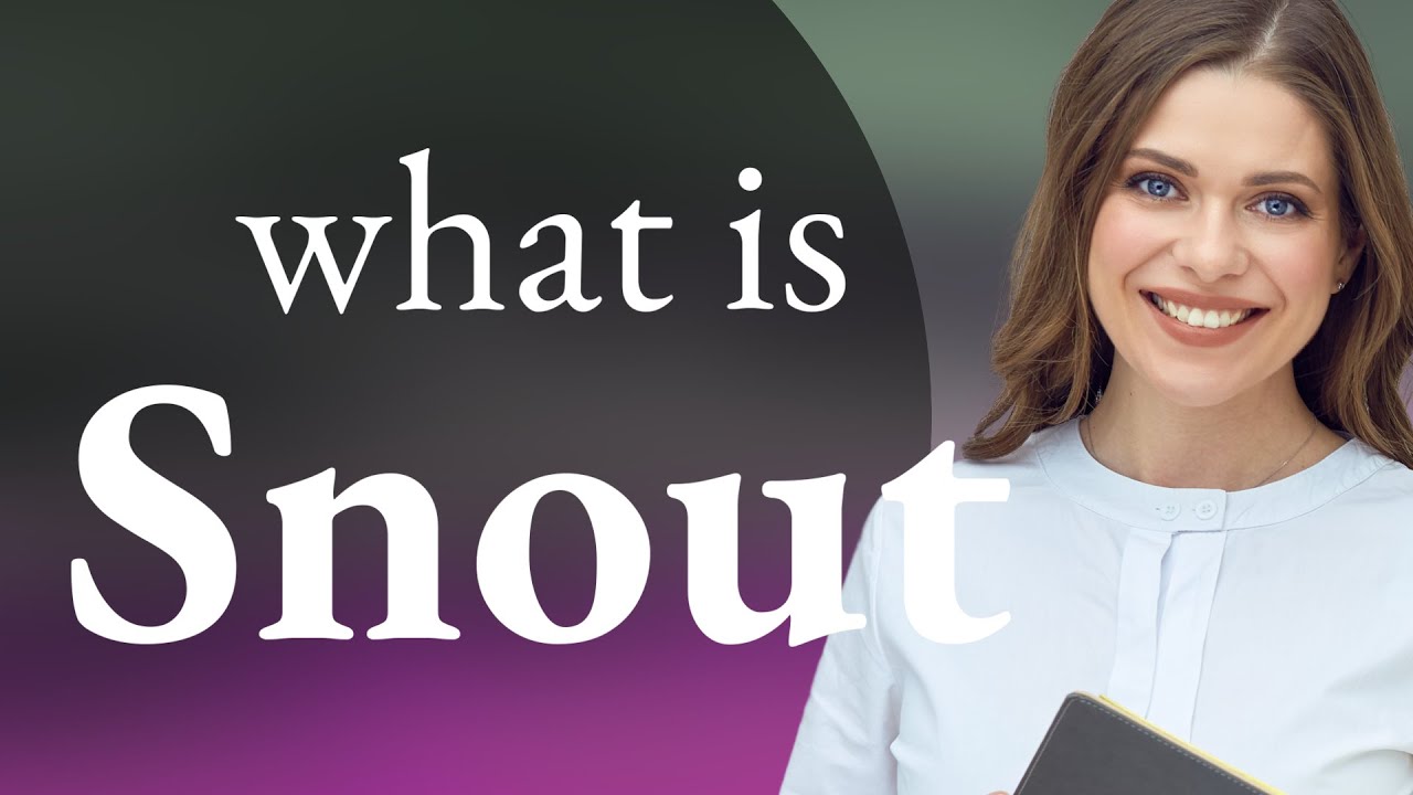 Snout — SNOUT meaning - YouTube