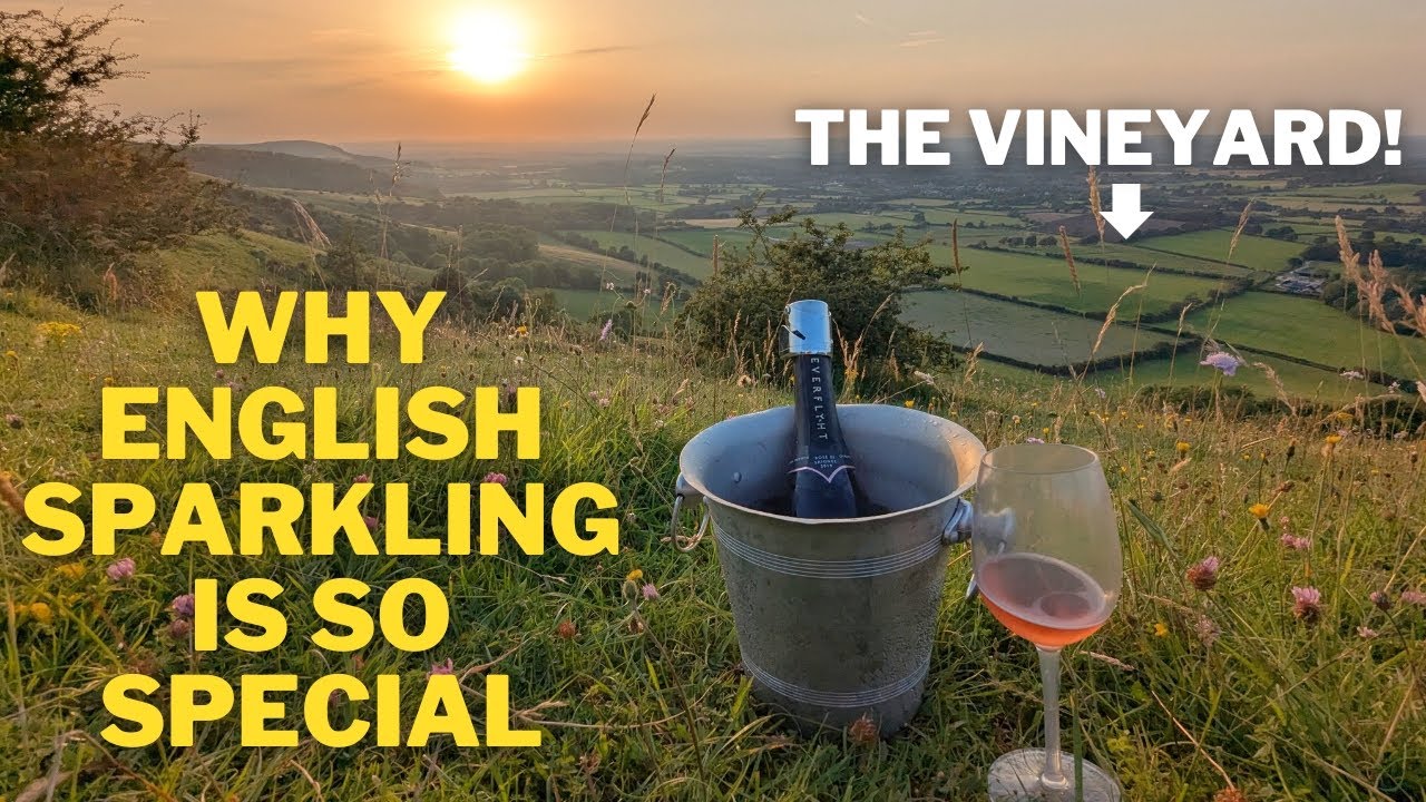 Everflyht Rosé de Saignée 2019 on the South Downs Overlooking the ...
