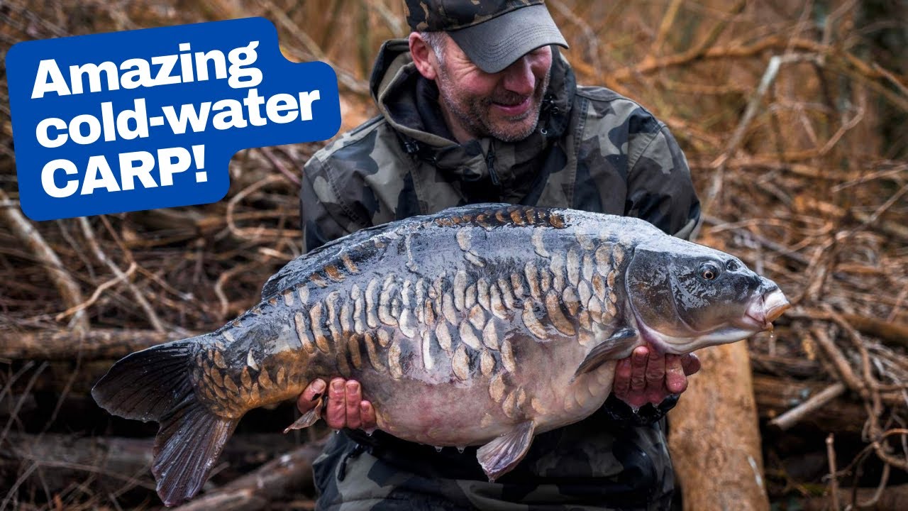 Winter CARP FISHING at Horcott Lakes - YouTube