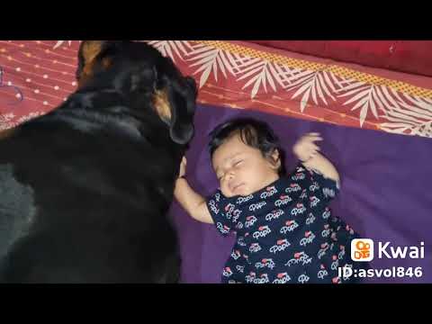 pessa que e Deli😅😄😃🤣😂