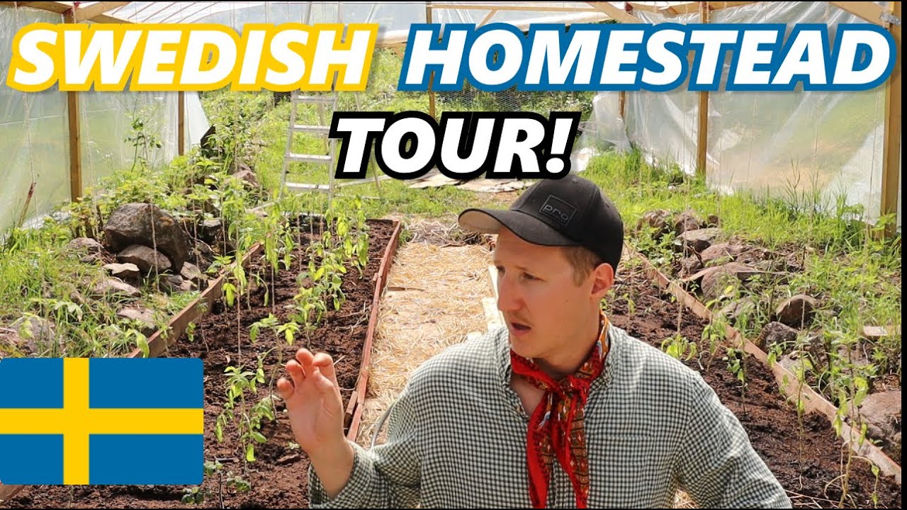 Swedish Homestead tour (Late spring 2021) | We have bought a Beehive!😱 ...