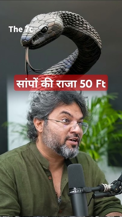 सांपों की राजा 50Ft.🐍🚩 Ft - @AkshatGuptaAuthor #akshatgupta #shorts # ...