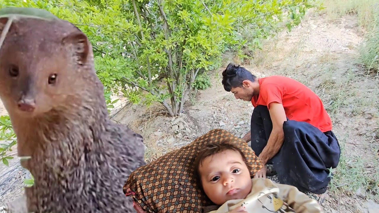 The Wildest and Most Beautiful Creature Meets the Legendary Fisherman ...