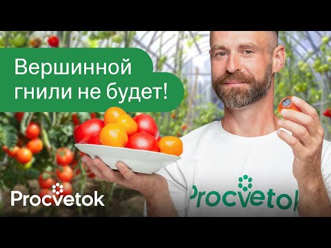 1 ЛОЖКА НА ВЕДРО ВОДЫ И ВЫ ЗАБУДЕТЕ О ВЕРШИННОЙ ГНИЛИ ТОМАТОВ И ПЕРЦЕВ! Чем подкормить томаты?