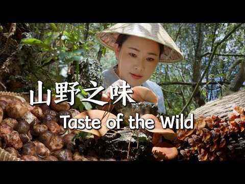Taste of the Wild — Mountain Flavors of Yunnan After the Rain【滇西小哥】