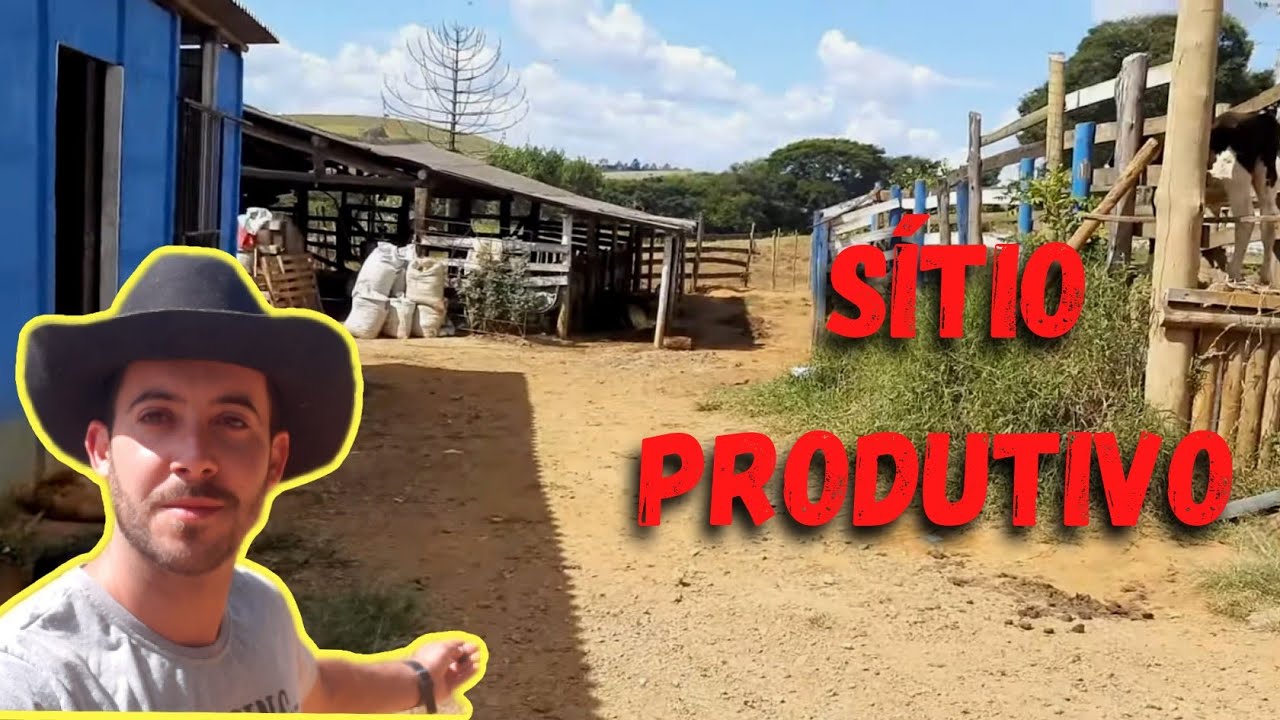 Mostrei o sítio completo { IMPERDÍVEL} - YouTube