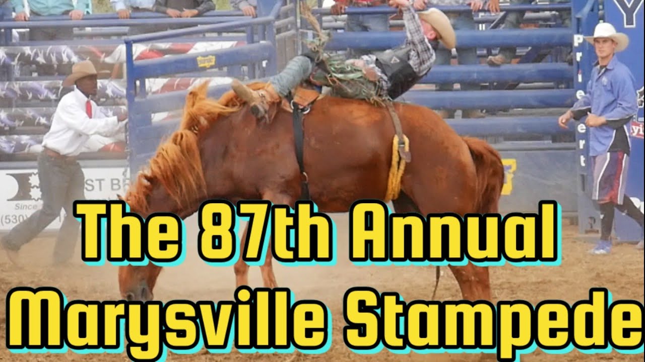 87th Annual Marysville Stampede ( Rodeo)/Cotton Rosser Arena and ...