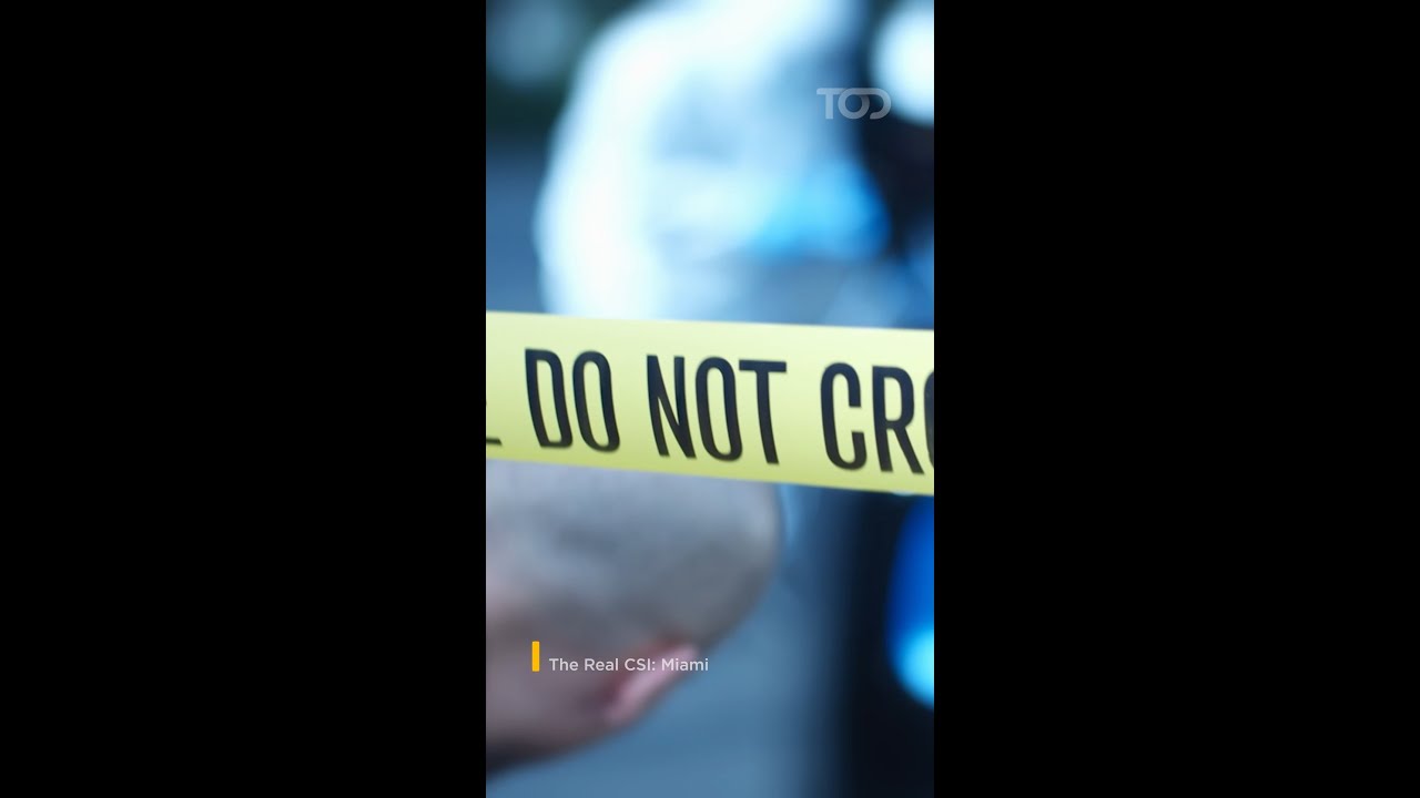 The Real CSI Miami: Behind the Scenes of Crime Solving in the Sunshine ...