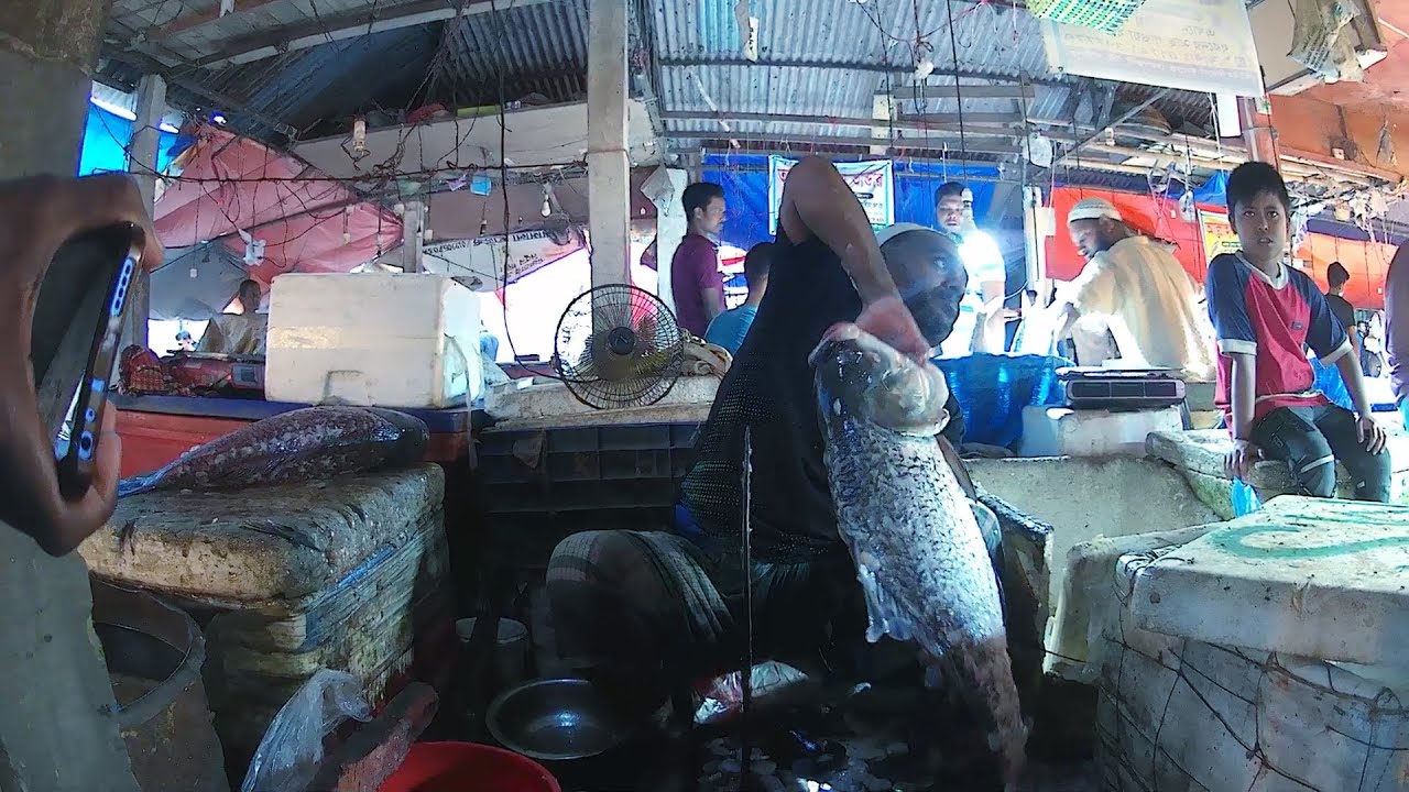Never Seen! 15KG Catla Carp Fish Cutting In Fish Market- Katla Carp ...