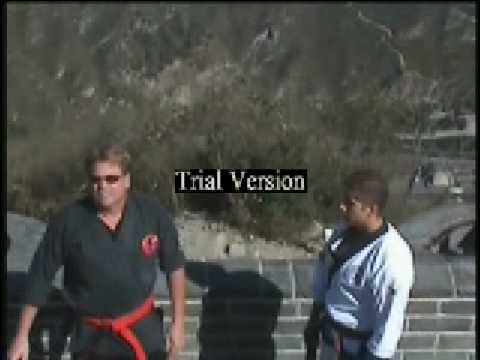 Great Wall of China Speed Striking Demo, Sifu Mark Gerry - YouTube