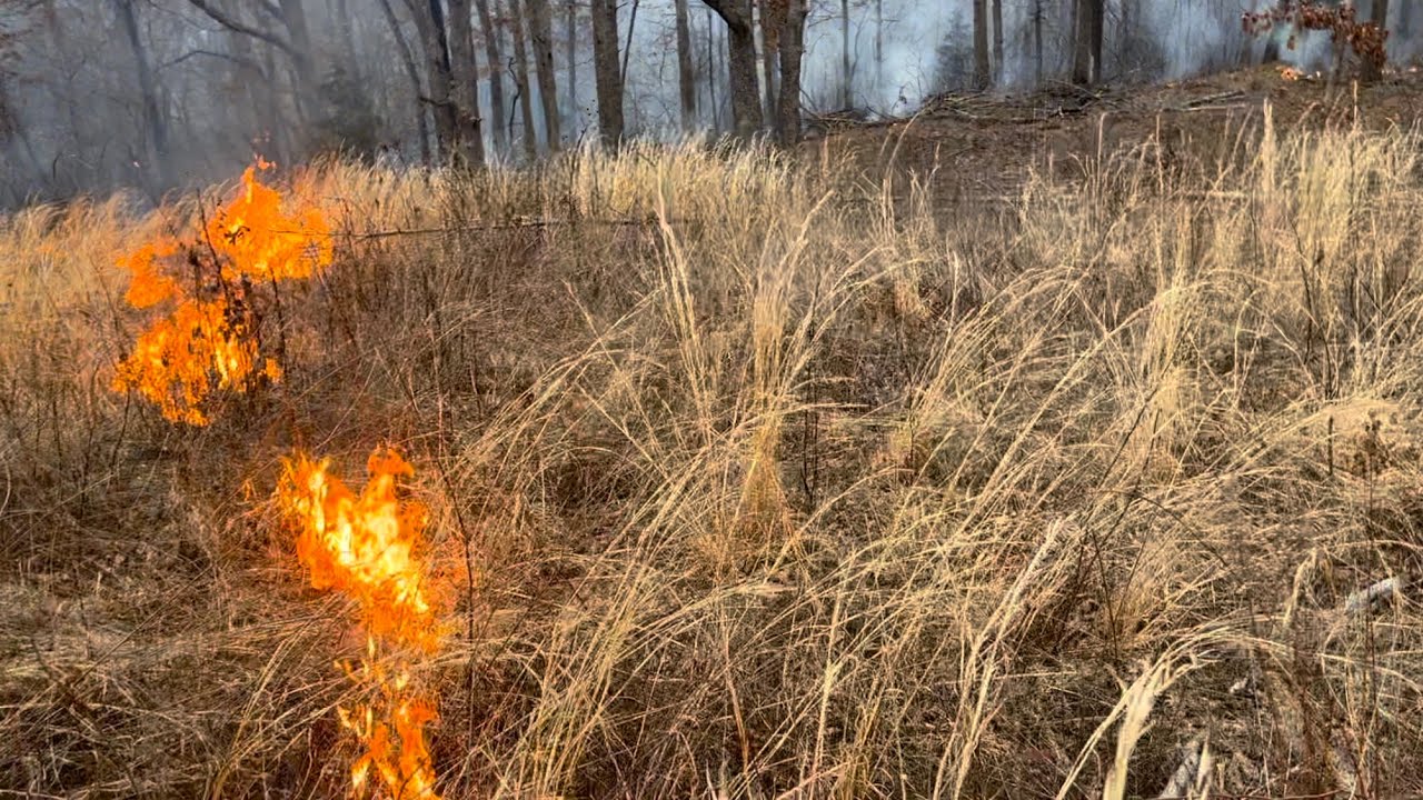 CONTROLLED BURNING, making better wildlife habitat #burning #wildlife ...