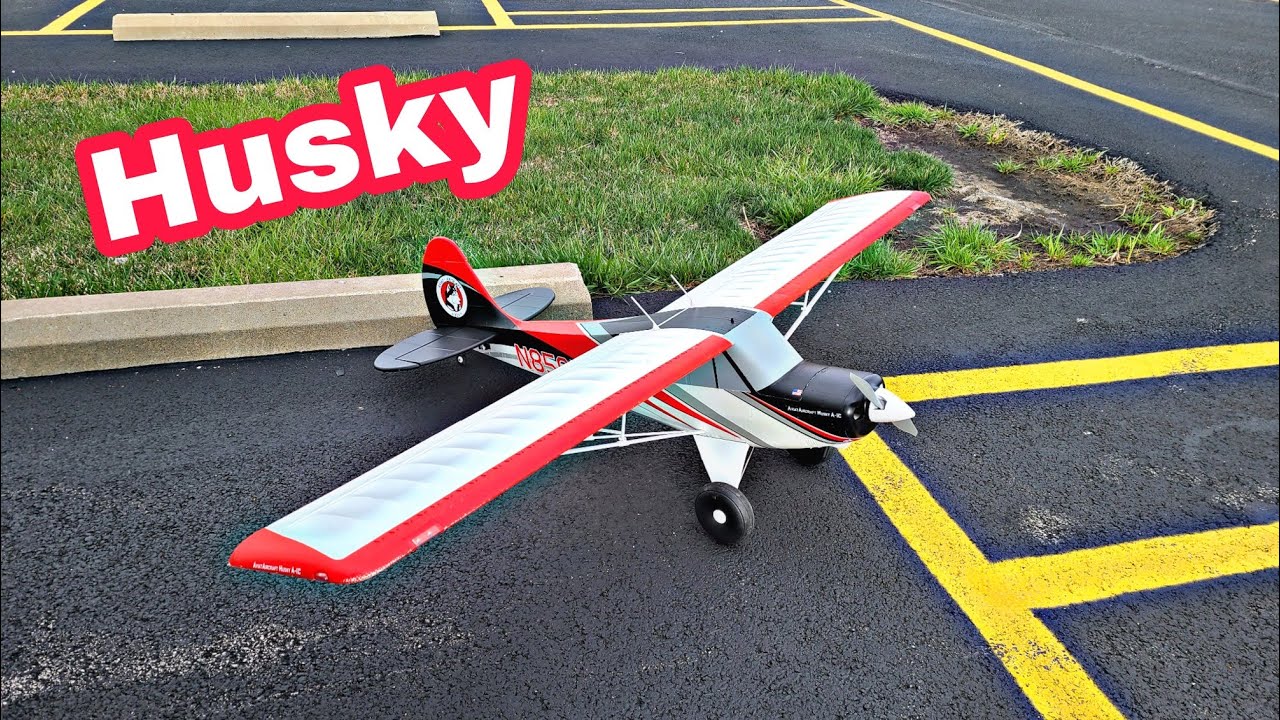 Getting a Quick Flight With The Arrows Husky (Live)! I Fly RC Planes ...