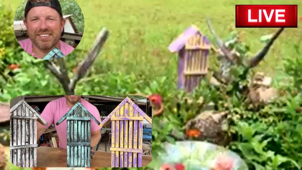 Building Butterfly houses with Steven Hodges {LIVE} - YouTube