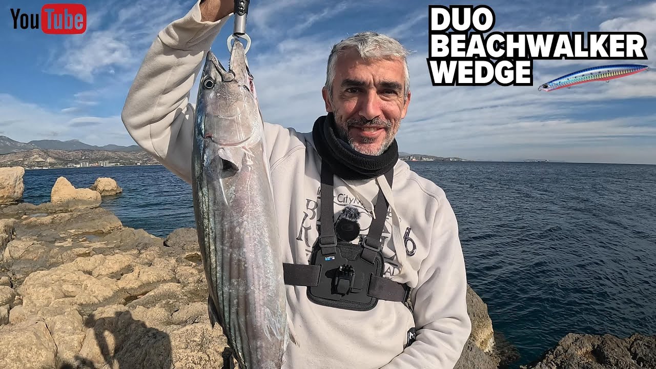 ΠΑΡΟΥΣΙΑΣΗ ΤΕΧΝΗΤΟ (PENCIL) DUO BEACHWALKER WEDGE 14CM/40GR !! SHORE ...