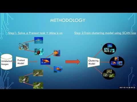 SCAN: Learning to Classify Images without Labels - YouTube