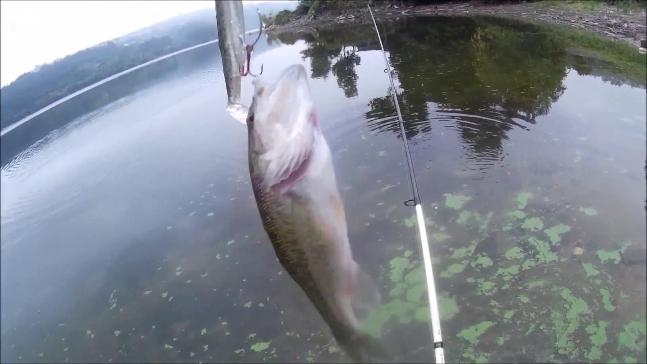 Achigã no inicio do Outono - Early fall Bass Fishing - YouTube