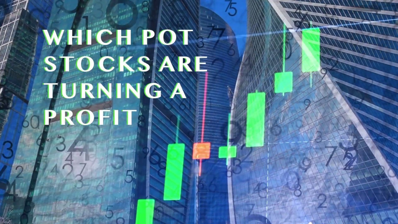 Which Pot Stocks Are Turning a Profit? - YouTube