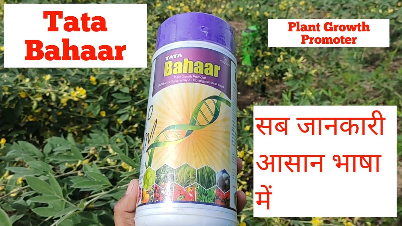 Tata Bahaar Tonic || Plant Growth Promoter || amino acid, carbohydrates ...