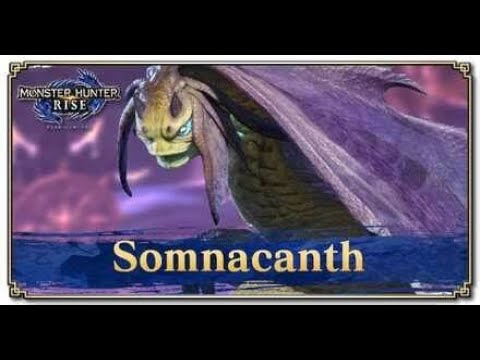 fighting Somnacanth in monster hunter rise. - YouTube